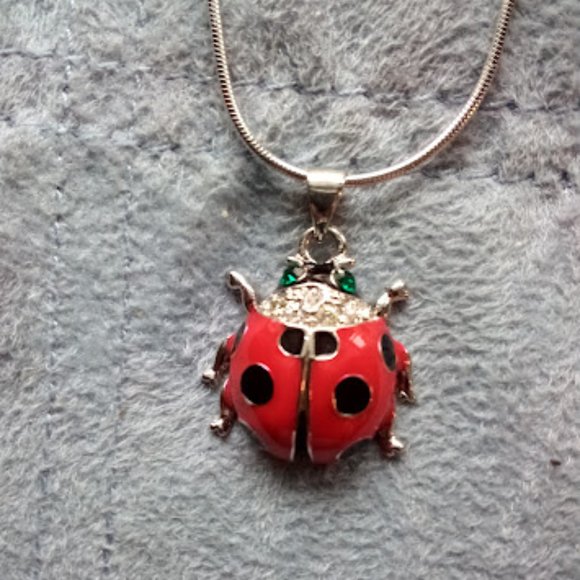 Jewelry | Ladybug Ladybug On A Silver Chain | Poshmark